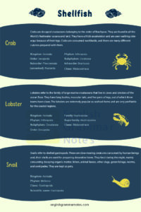 Shellfish | List of Shellfish With Description – English Grammar Notes