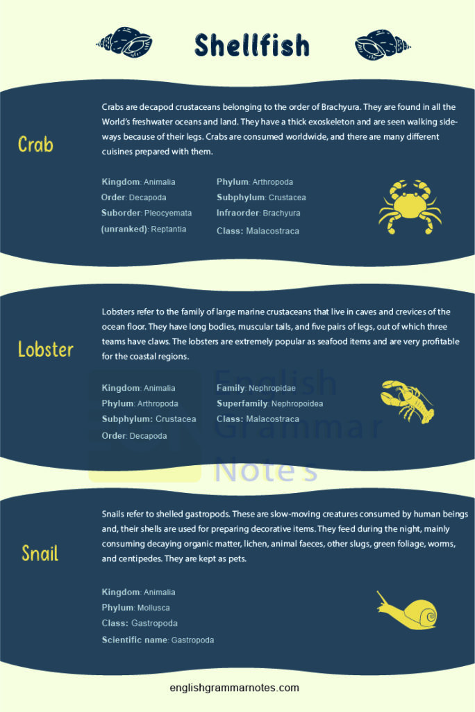 Shellfish | List of Shellfish With Description – English Grammar Notes