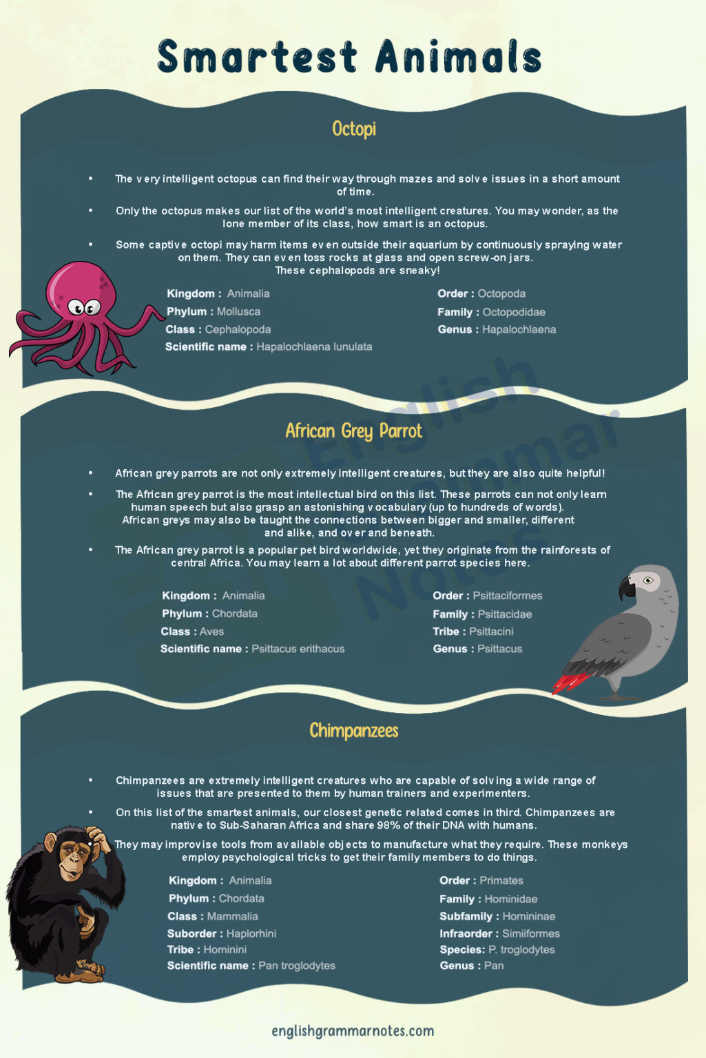 Smartest Animals | List of Smartest Animals in the World With ...