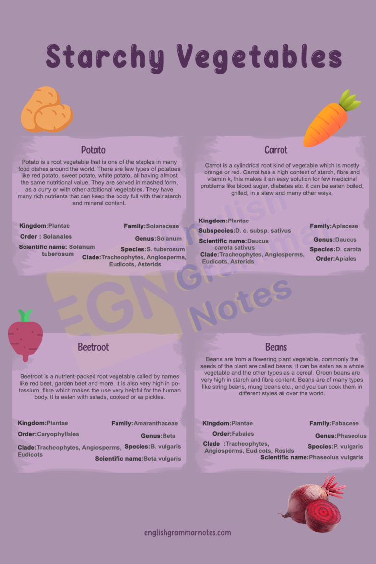 Starchy Vegetables | List of Starchy Vegetables With Descriptions and ...