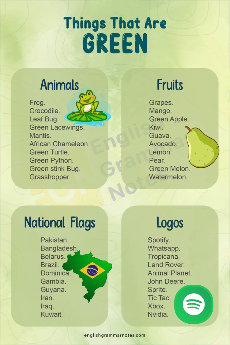 Things That Are Green | All About the things that are ‘Green’ – English ...