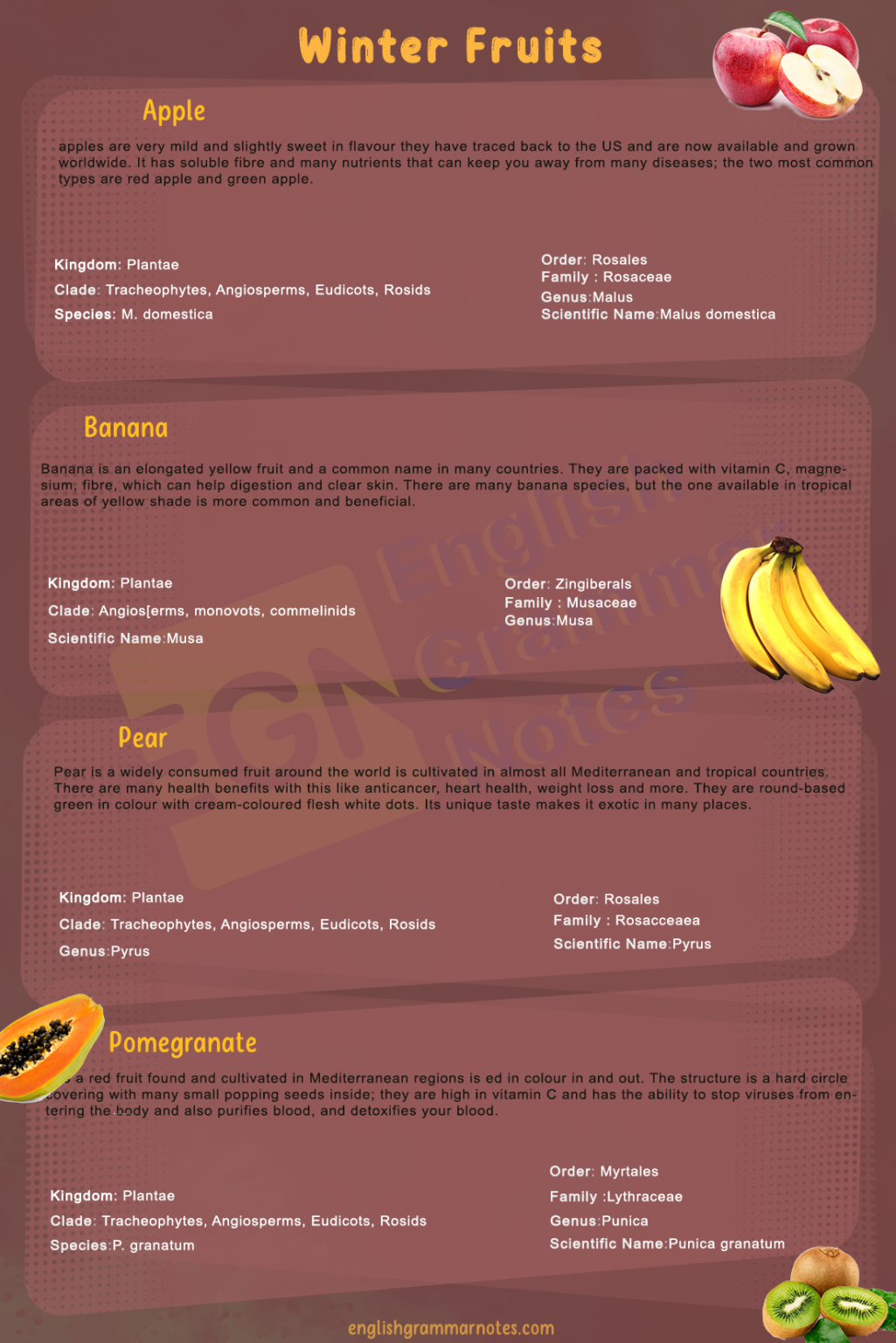 Winter Fruits | List of Winter Fruits With Description and Images ...