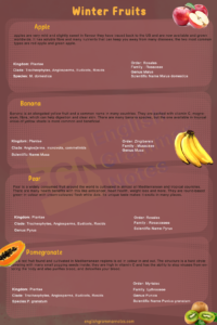 Winter Fruits | List of Winter Fruits With Description and Images ...