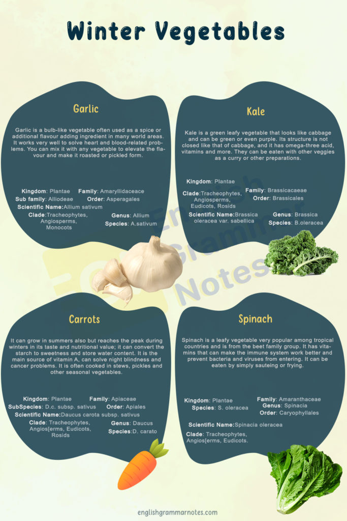 Winter Vegetables | List of Winter Vegetables With Description and ...