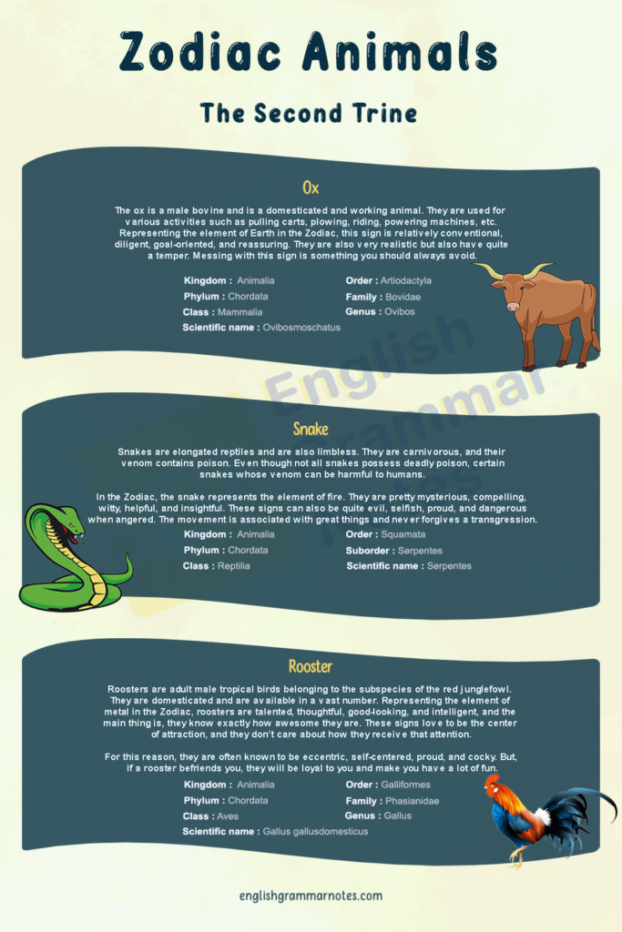 Zodiac Animals | List of Zodiac Animals With Description – English ...