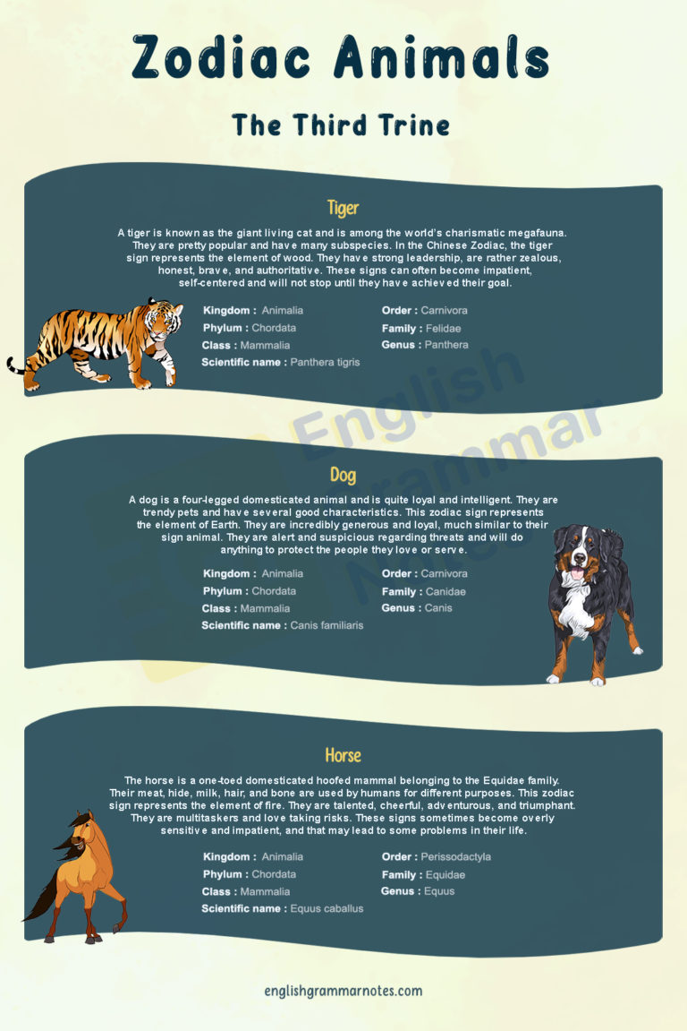 Zodiac Animals | List of Zodiac Animals With Description – English ...