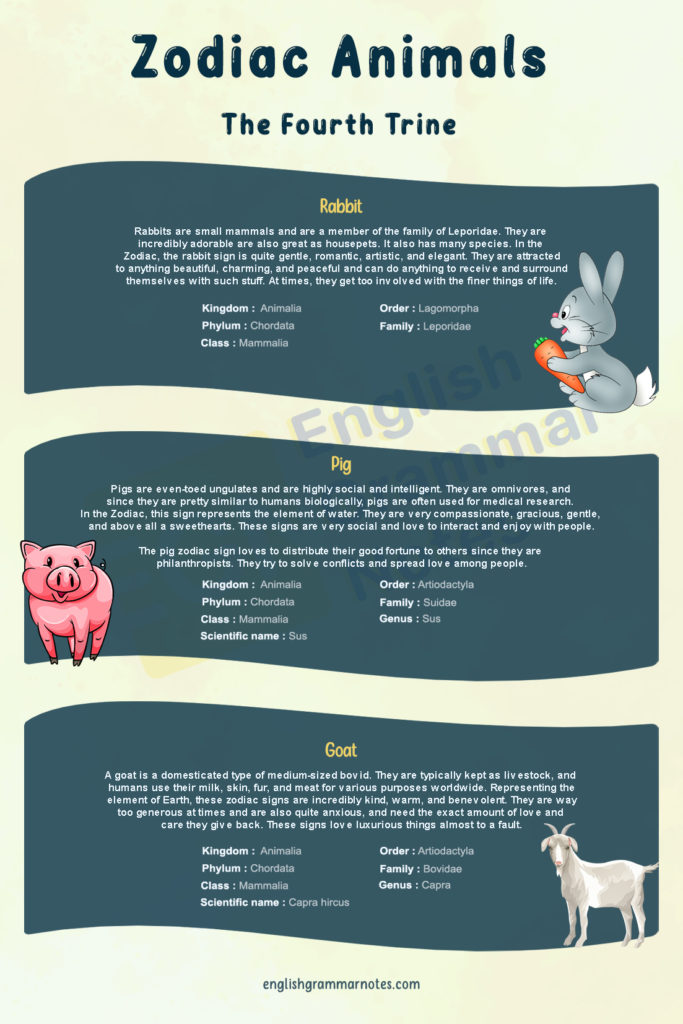 Zodiac Animals | List of Zodiac Animals With Description – English ...