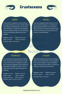 Crustaceans | List of Crustaceans With Description and Images – English ...