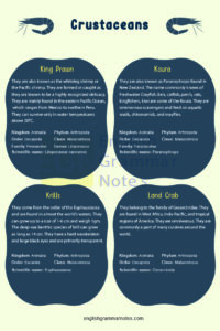 Crustaceans | List of Crustaceans With Description and Images – English ...