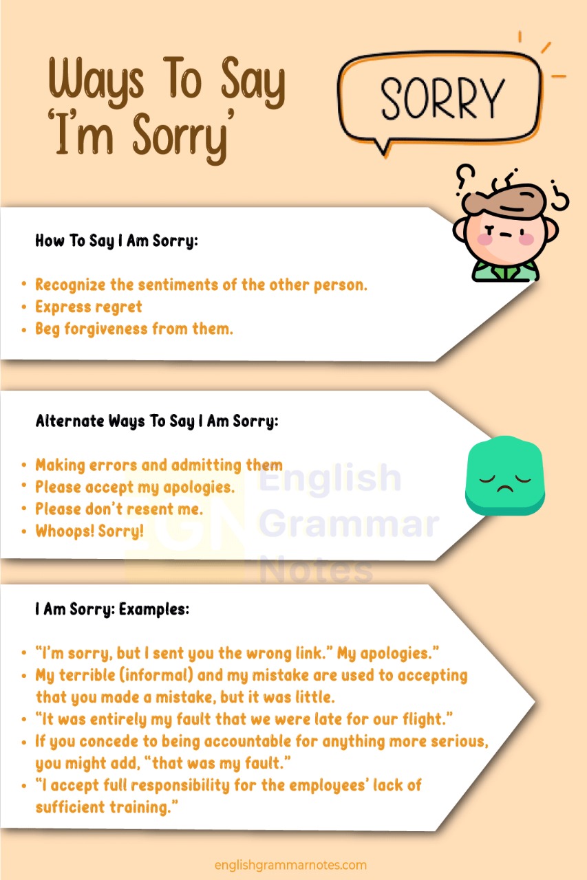 Ways To Say ‘I’m Sorry’ | How To Say? Examples and Alternative Ways to ...