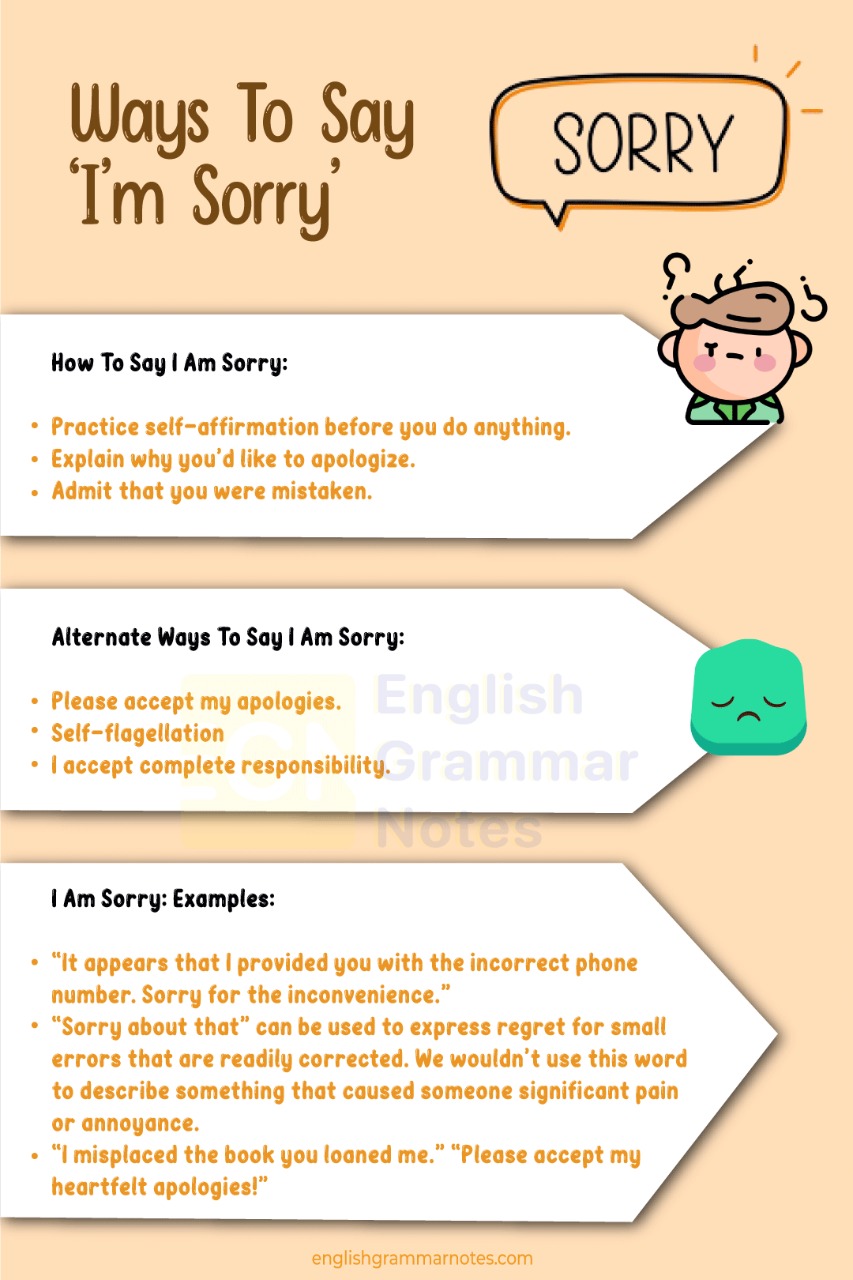 Ways To Say ‘I’m Sorry’ | How To Say? Examples and Alternative Ways to ...