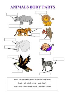 Animals Body Parts | List of Animals Body Parts With Description ...