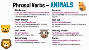 Animals Phrasal Verbs | List of Animals Phrasal Verbs With Meaning and ...