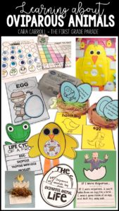 Oviparous Animals | List of Oviparous Animals With Description ...