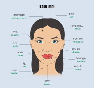 Face Idioms | List of Face Idioms With Meaning and Examples – English ...