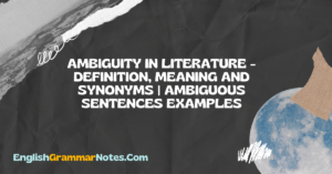 Ambiguity in Literature – Definition, Meaning and Synonyms | Ambiguous ...