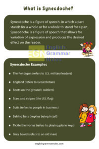 Synecdoche Definition, Meaning, Synonyms and Examples | How to ...