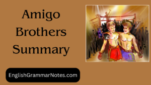 Amigo Brothers Summary – English Grammar Notes