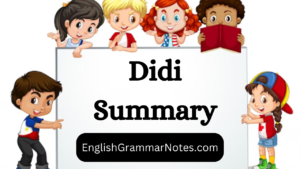 Didi Summary – English Grammar Notes