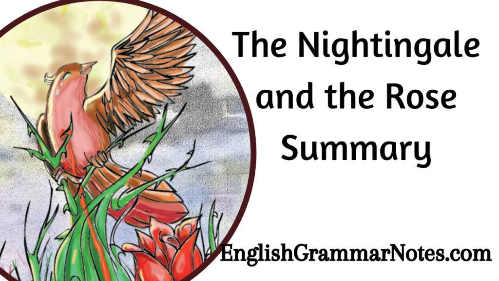 The Nightingale and the Rose Summary – English Grammar Notes
